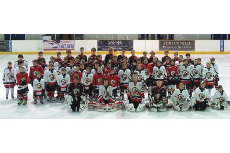 Basingstoke Ice Hockey Development Club | Localgiving