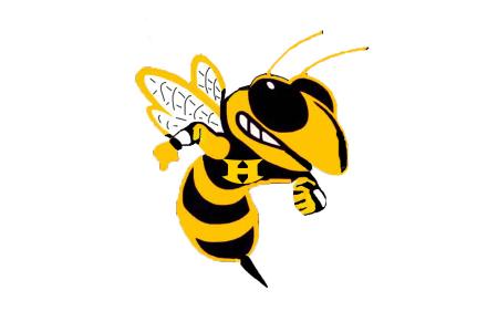 Hanslope Hornets FC | Localgiving