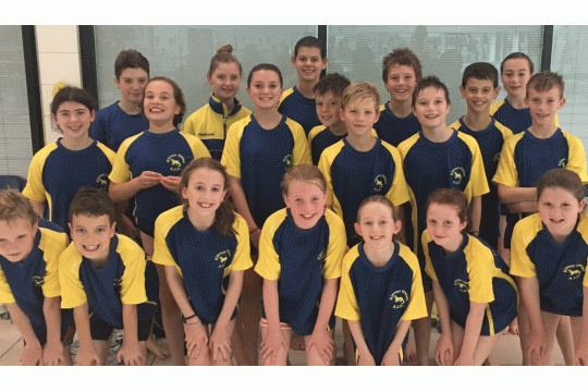 Kinross Otters Amateur Swimming Club | Localgiving