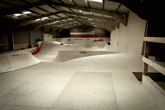 Adrenaline Alley | Localgiving