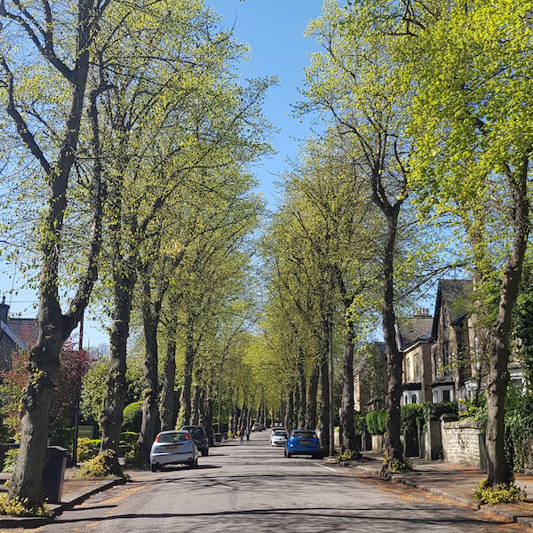 Nether Edge and Sharrow Sustainable Transformation | Localgiving